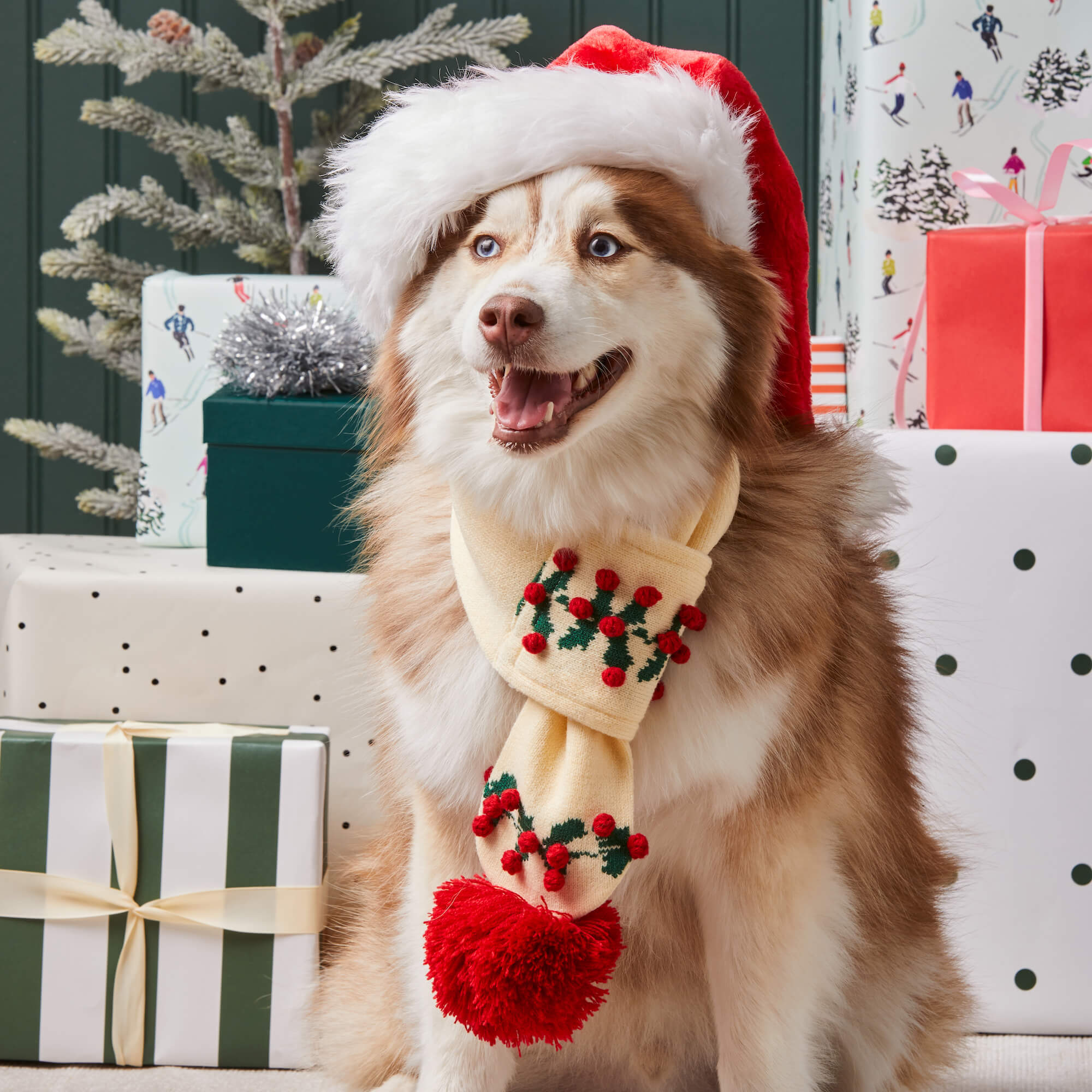 Dog Scarves – The Foggy Dog