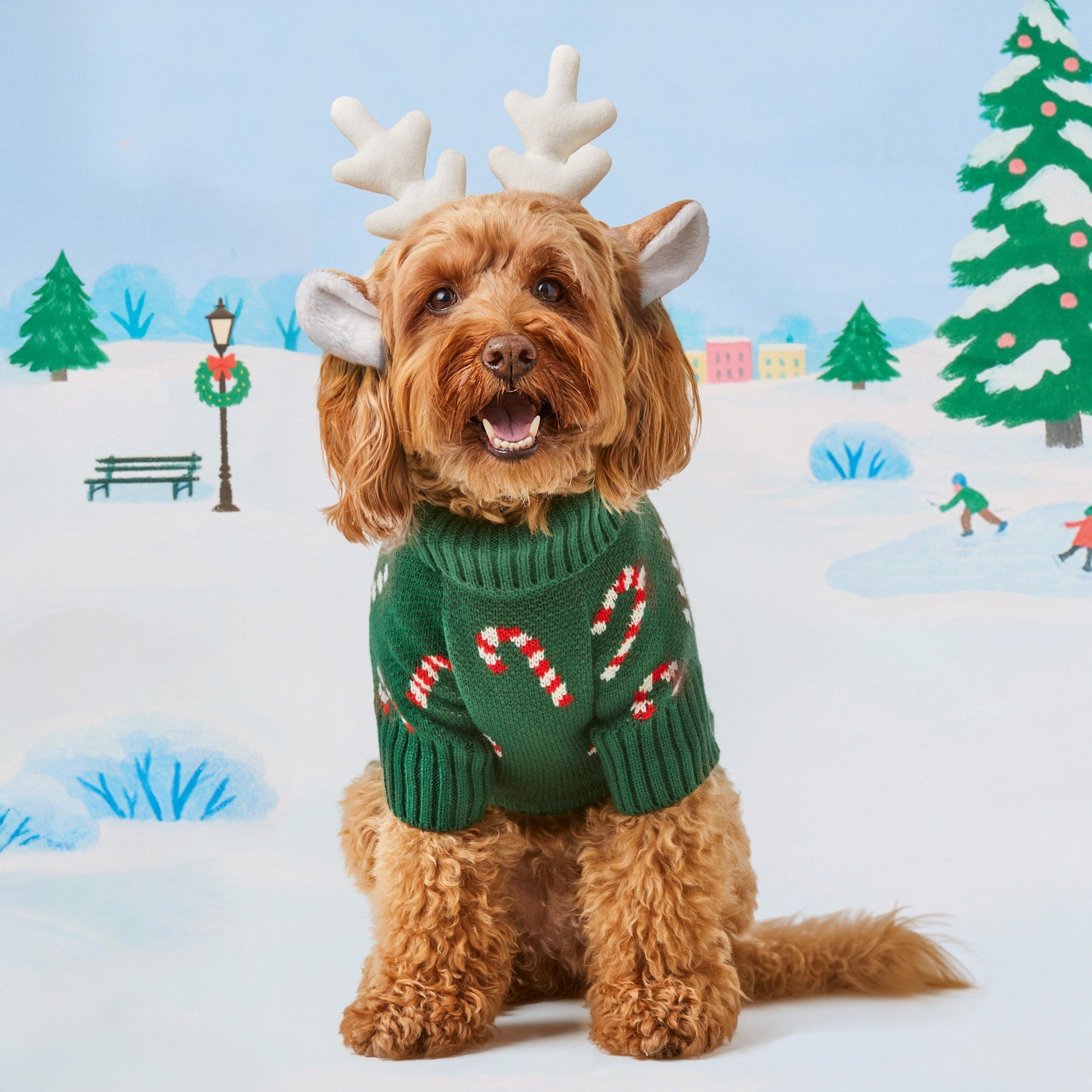 Digital Print Dog Collars & Accessories | The Foggy Dog