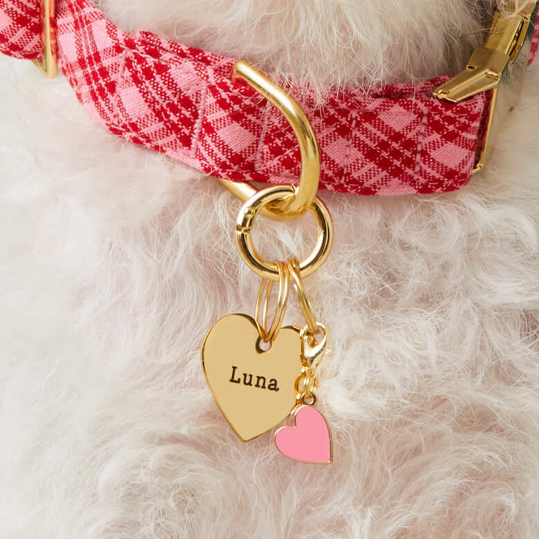 Dog Collar Charms | The Foggy Dog
