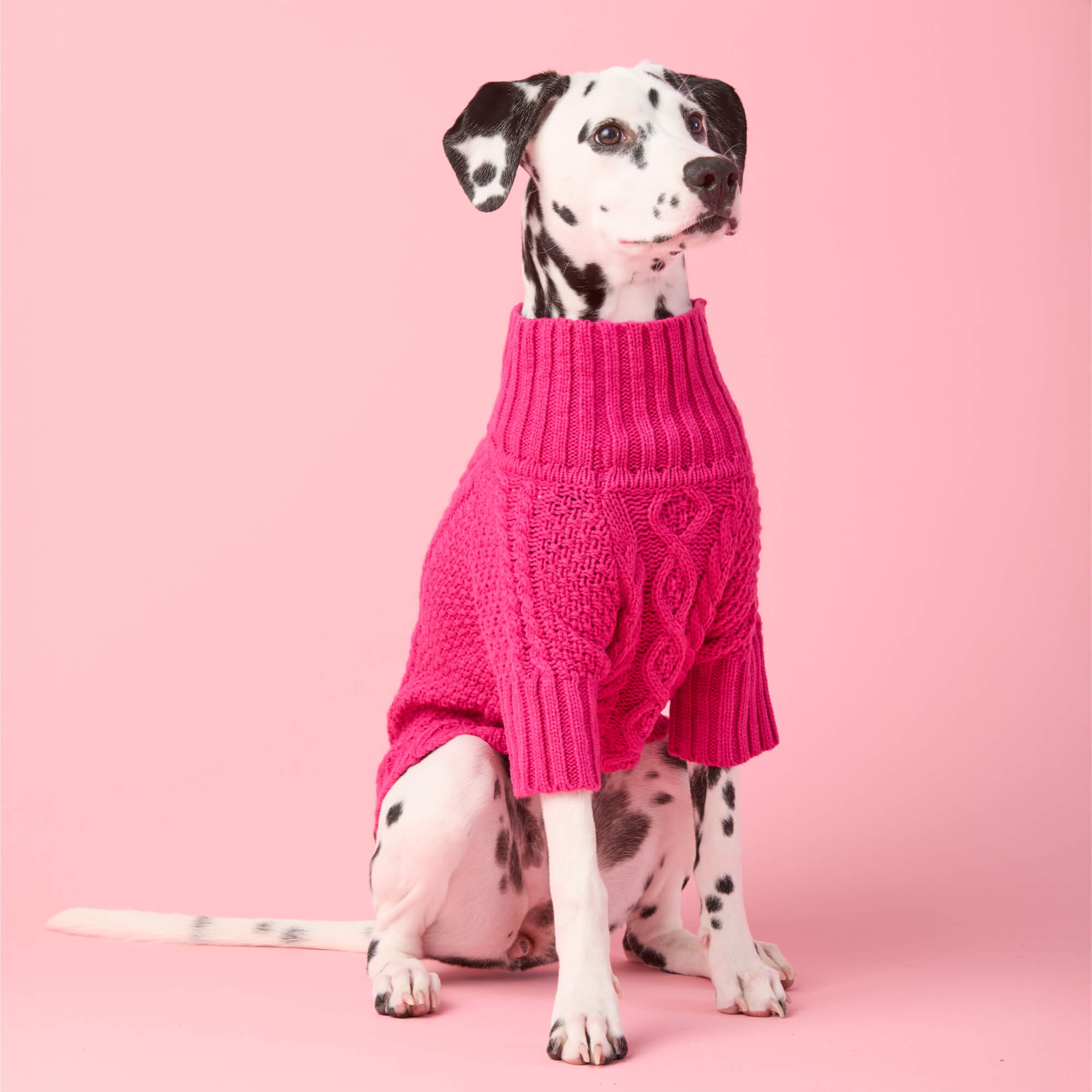 Dog Apparel | Cozy Dog Clothes | The Foggy Dog