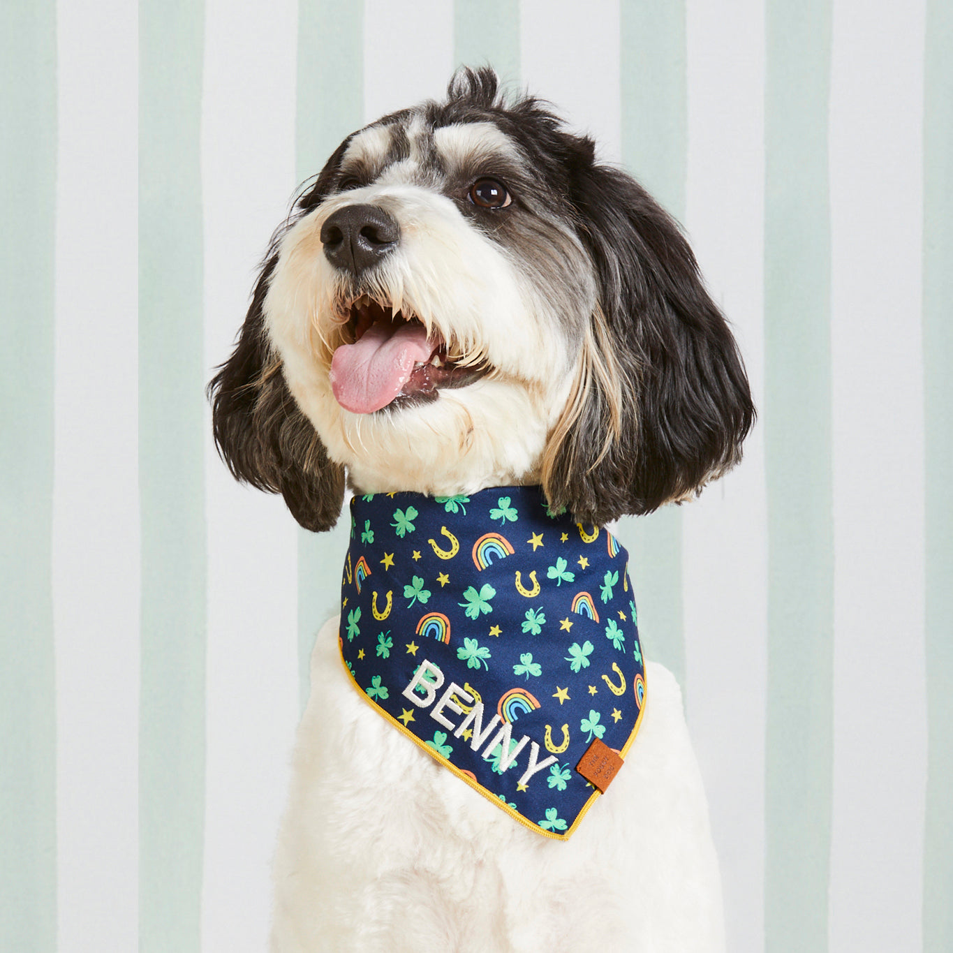 Lucky Pup Collection – The Foggy Dog
