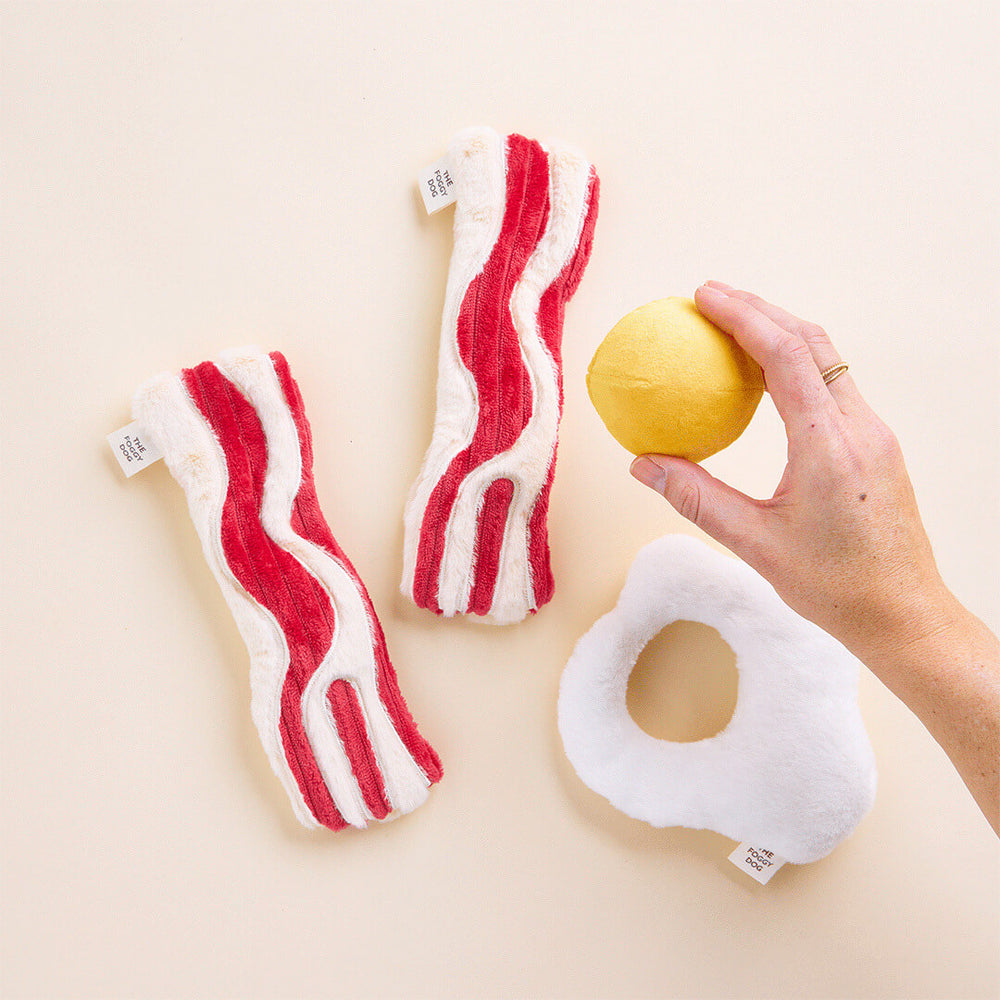Bacon and Egg Interactive Toy Set – The Foggy Dog