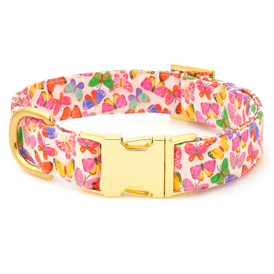 Adjustable Dog Collars | Stylish Pet Accessories | The Foggy Dog