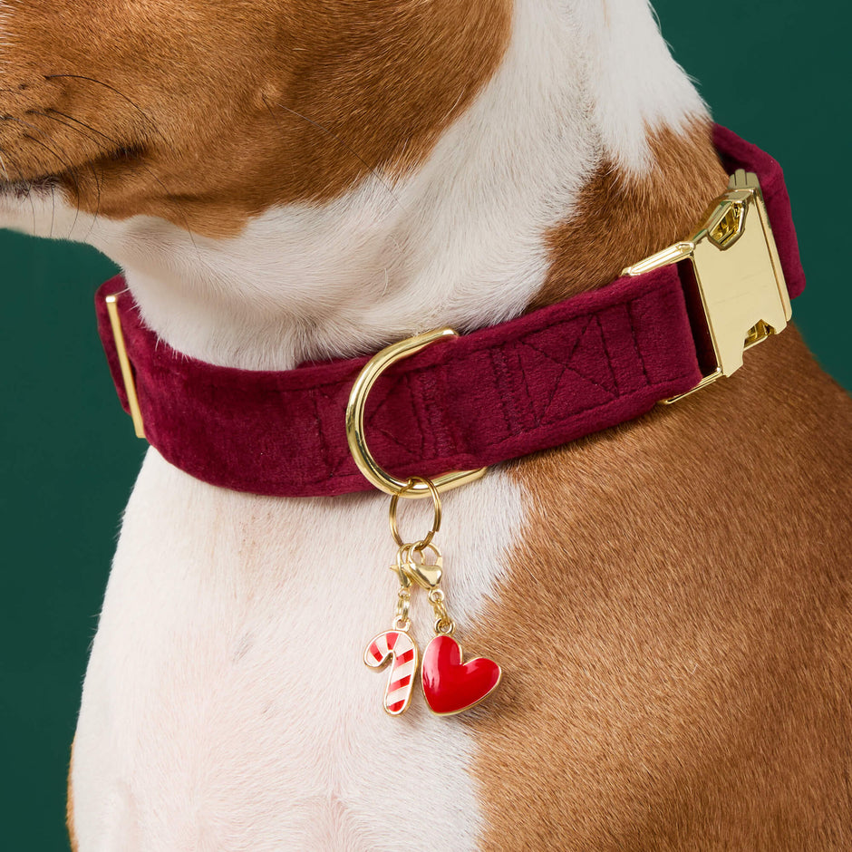 Dog Collar Charms | The Foggy Dog