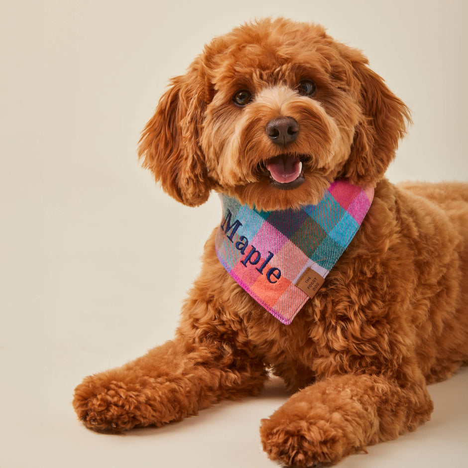 Classic Tie-On Dog Bandanas | Stylish Accessories for Every Pup | The ...