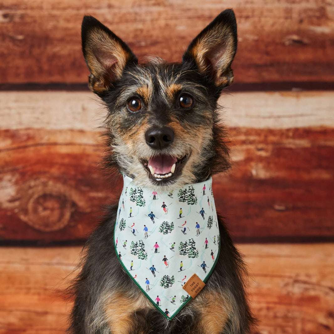 Classic Tie-On Dog Bandanas | Stylish Accessories for Every Pup | The ...