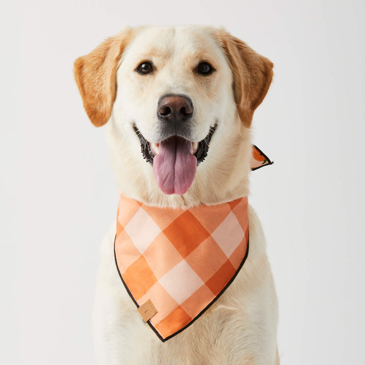 Classic Tie-On Dog Bandanas | Stylish Accessories for Every Pup | The ...