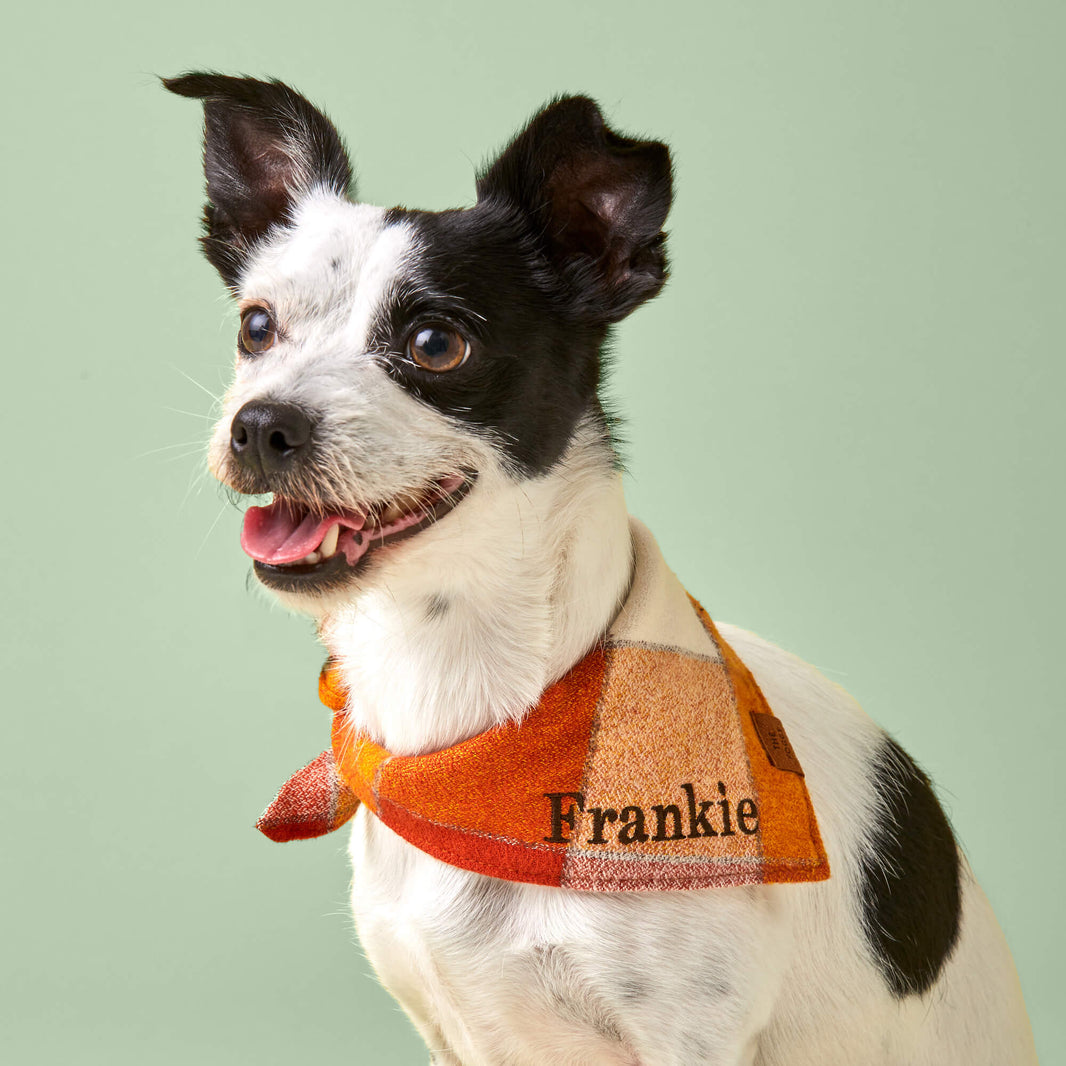 Classic Tie-On Dog Bandanas | Stylish Accessories for Every Pup | The ...