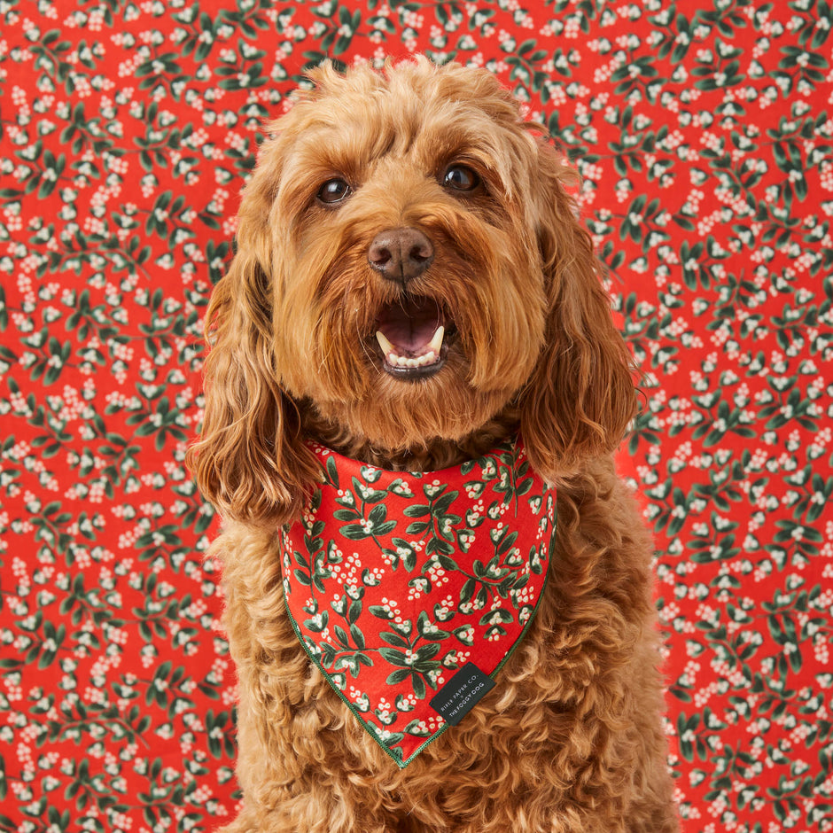 Classic Tie-On Dog Bandanas | Stylish Accessories for Every Pup | The ...