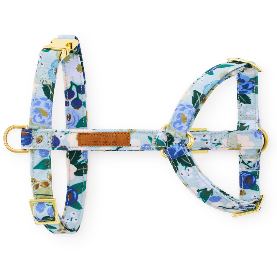 Harnesses – The Foggy Dog