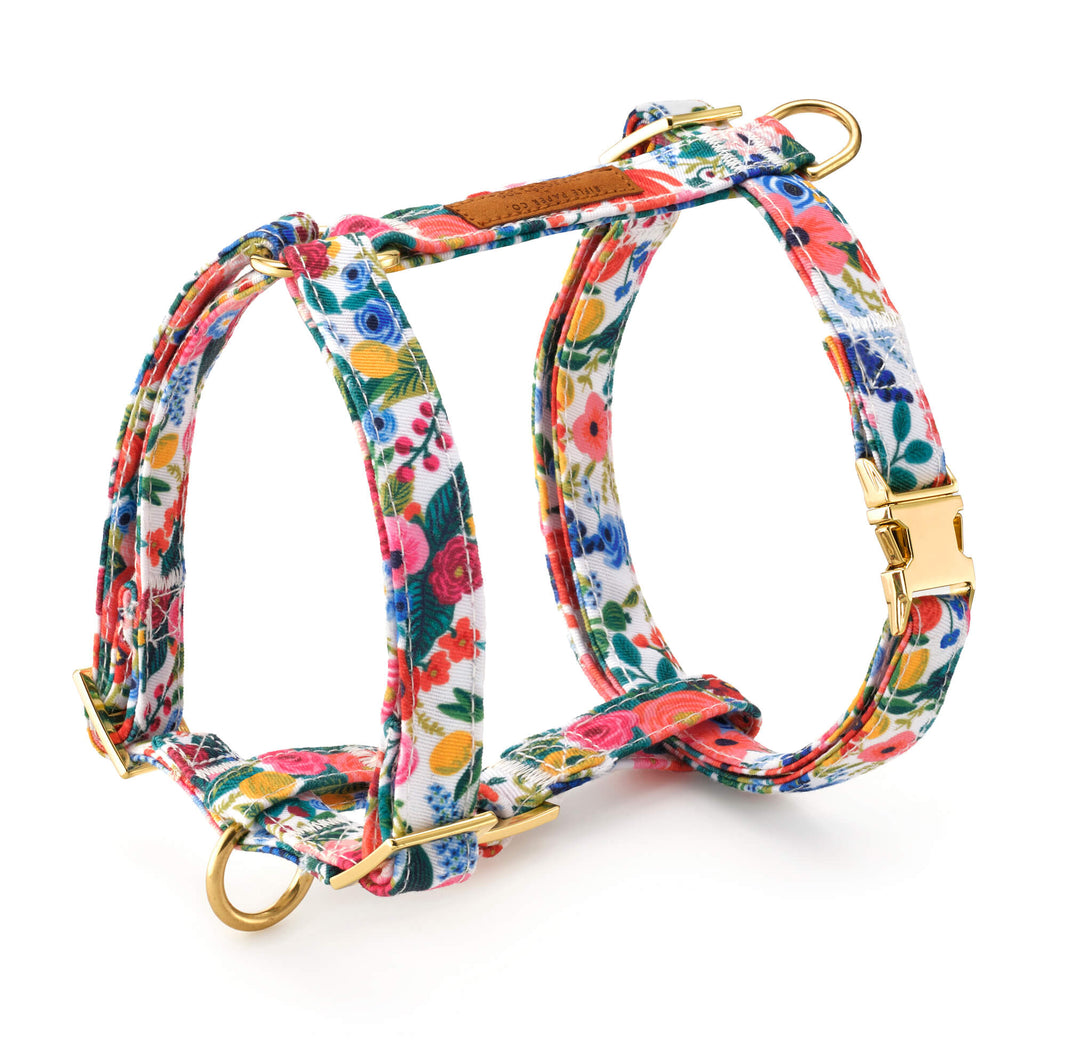 Garden Party Collar Walk Set – The Foggy Dog
