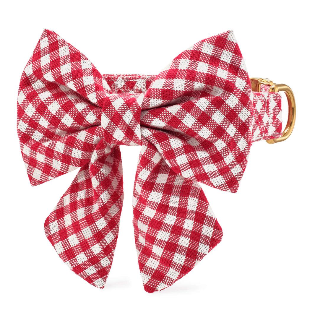 Red Gingham Dog Bandana – The Foggy Dog