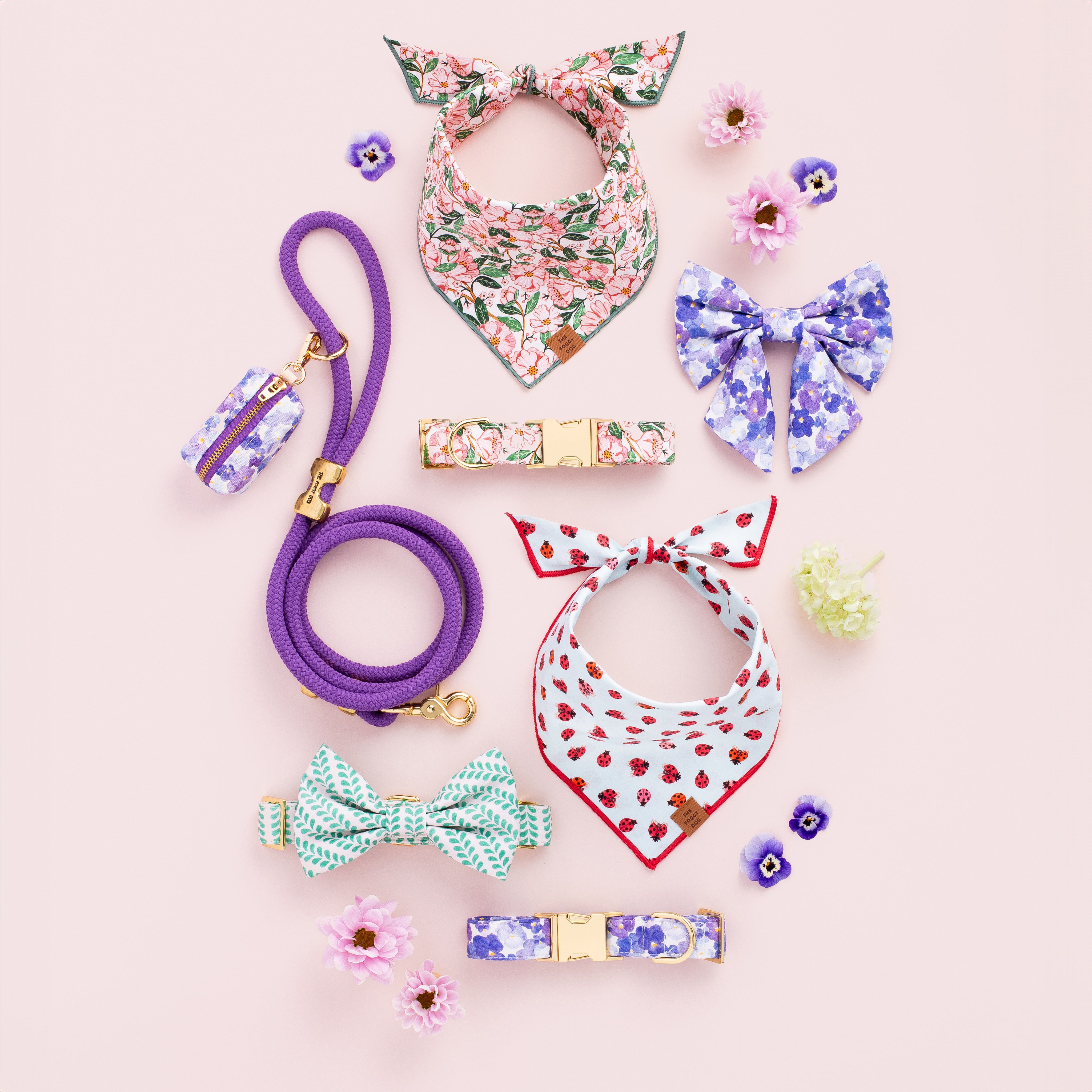 Pressed Pansies Dog Collar – The Foggy Dog