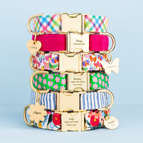 Rifle Paper Co. x TFD Garden Party Dog Collar – The Foggy Dog
