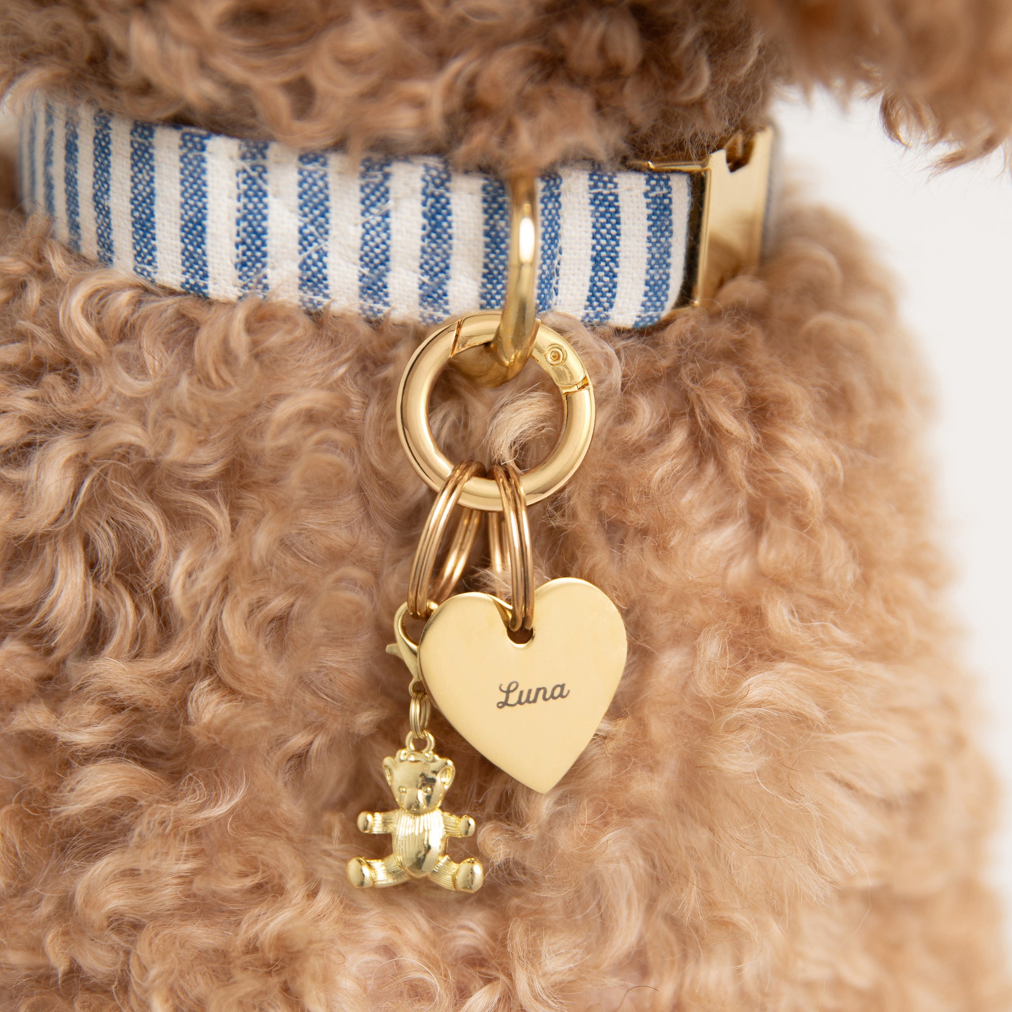 Pet Tag Keeper – The Foggy Dog