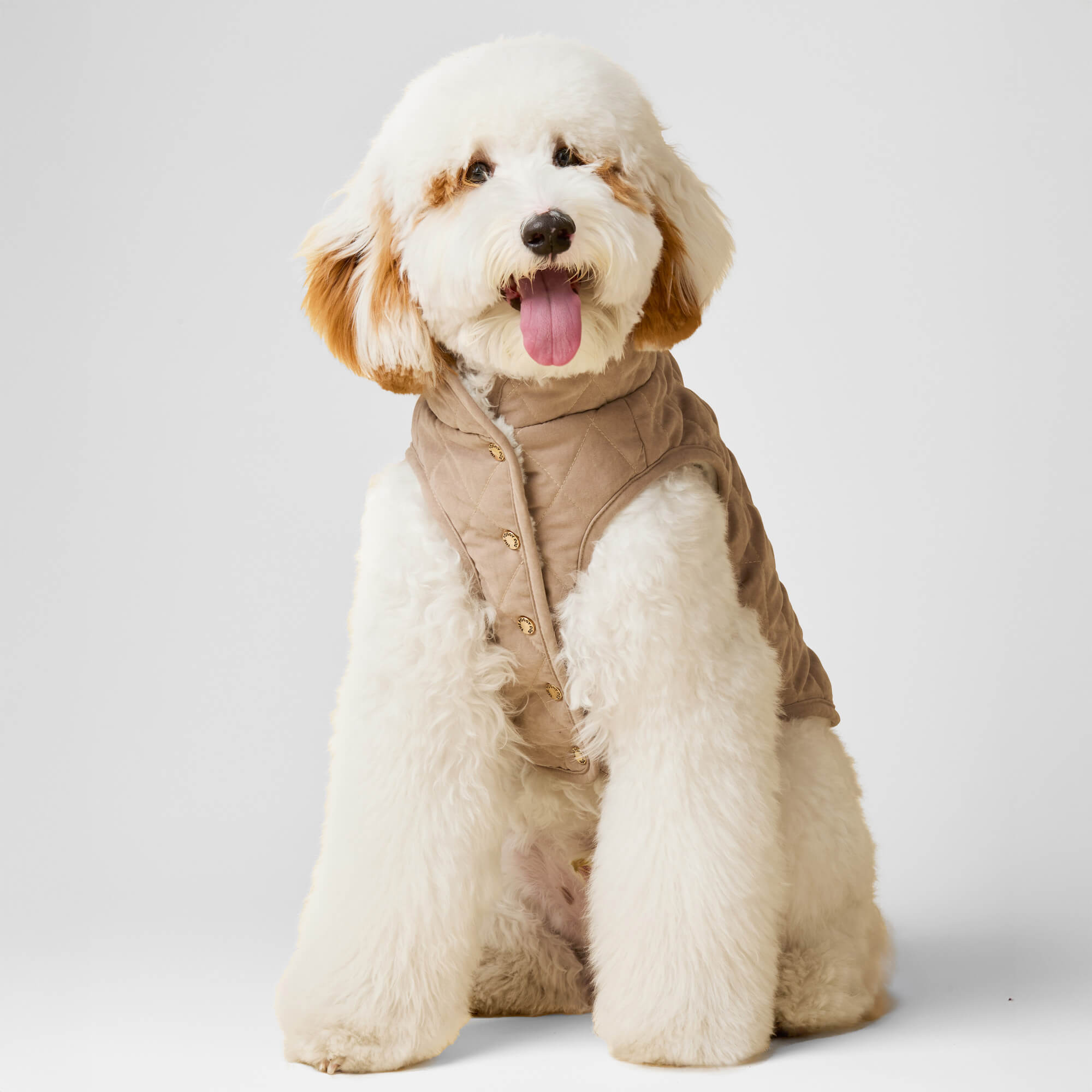 Dog Apparel | Cozy Dog Clothes | The Foggy Dog