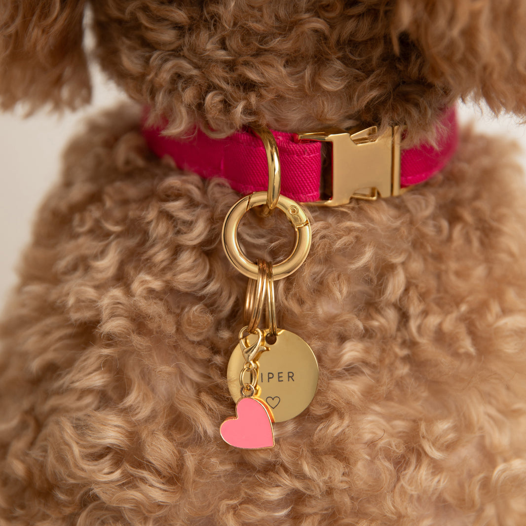 Heart Pet ID Tag: Heart Icon – The Foggy Dog