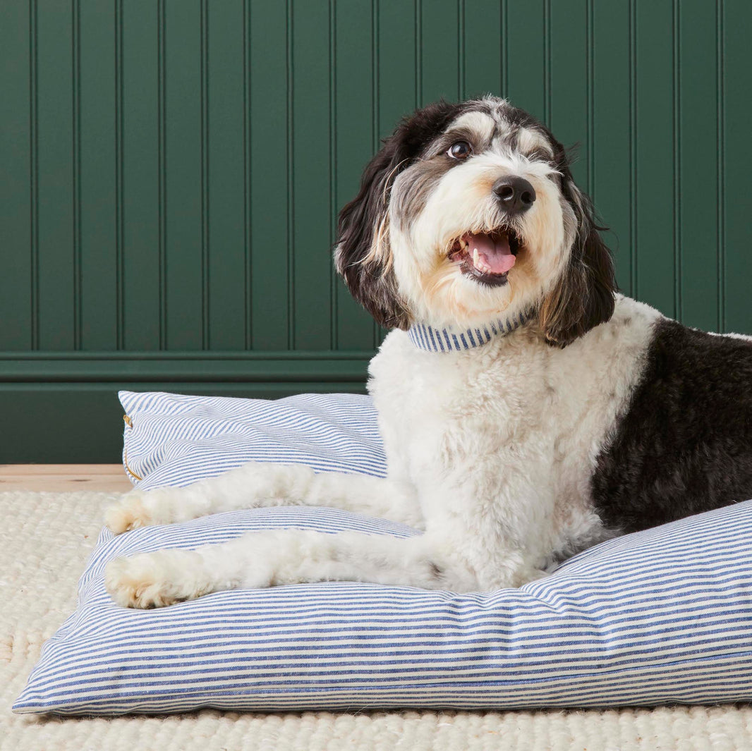 Replacement Dog Bed Insert – The Foggy Dog