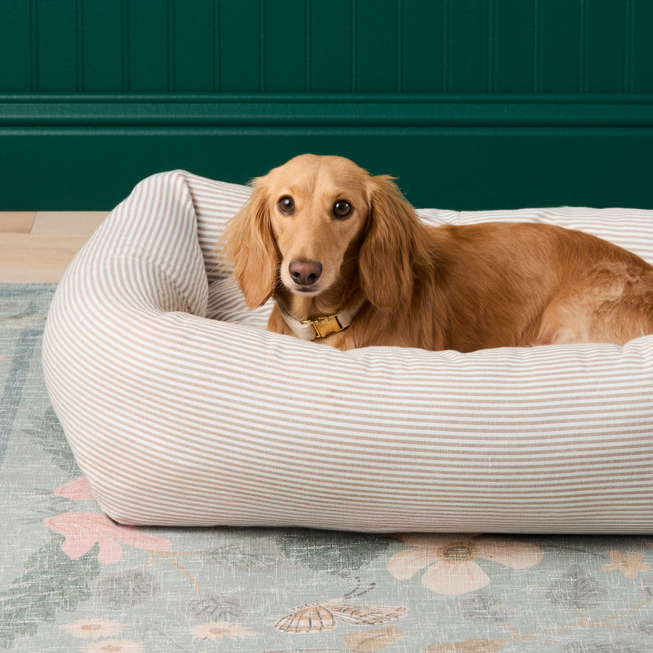 Cozy Beds for Stylish Pets | The Foggy Dog: Sleep Collection