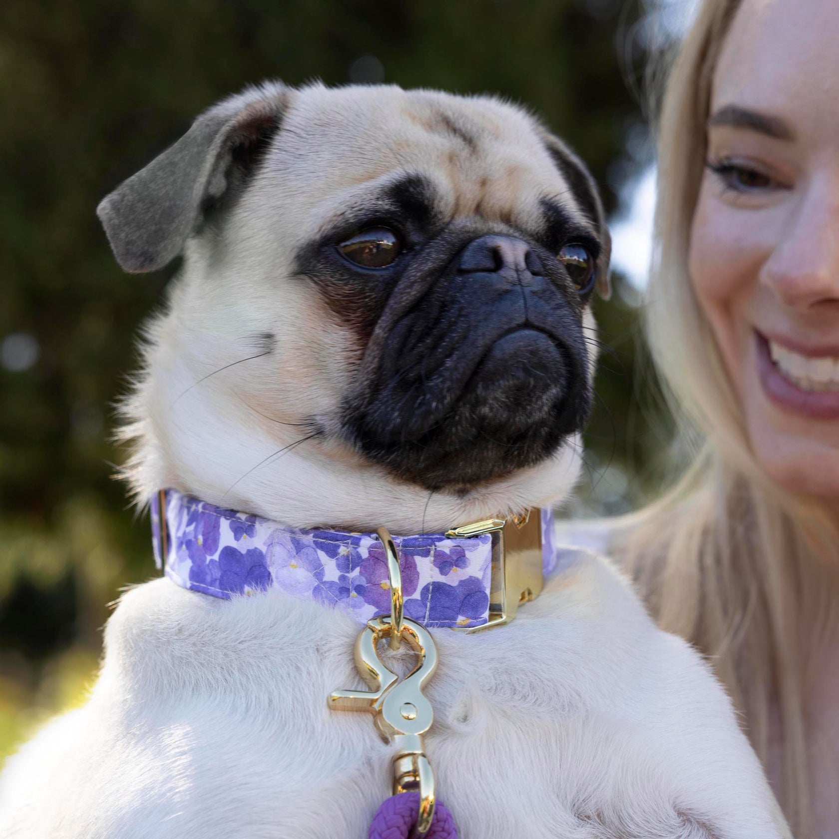 Pressed Pansies Dog Collar – The Foggy Dog