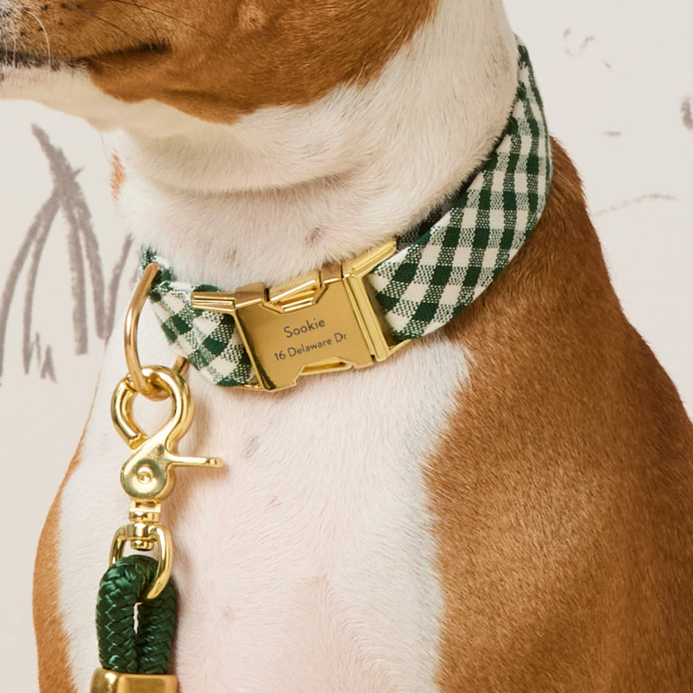 Fall Collection of Dog Accessories | Stylish and Cozy Pet Essentials ...