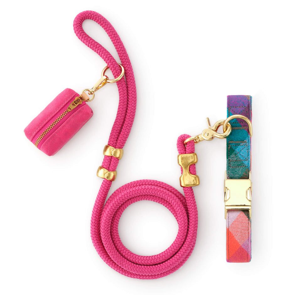 Color Pop Plaid Flannel Harness Walk Set – The Foggy Dog