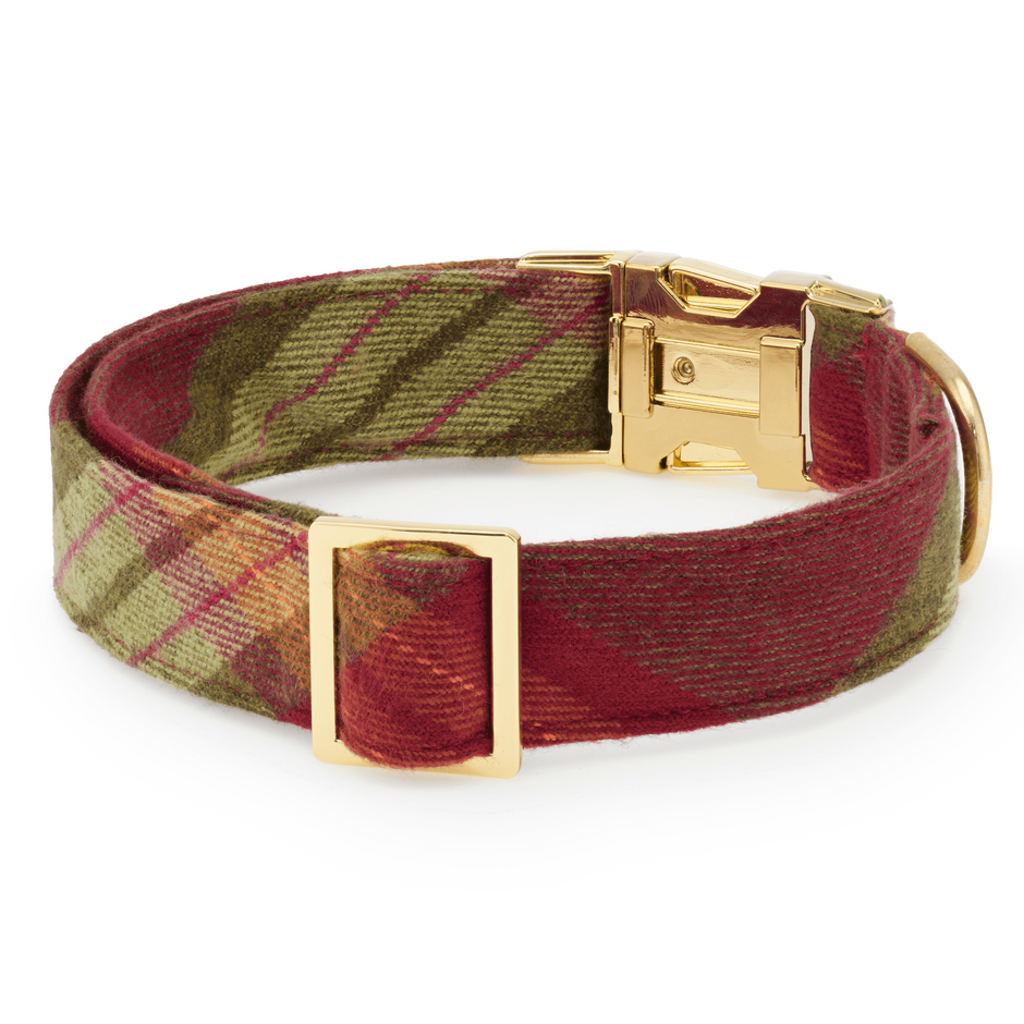Adjustable Dog Collars | Stylish Pet Accessories | The Foggy Dog