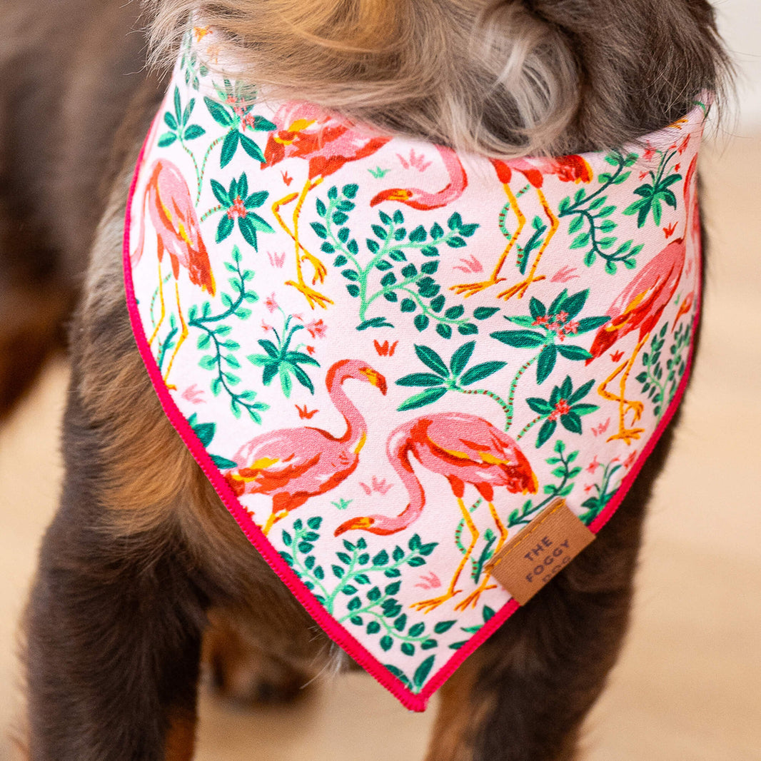 Classic Tie-On Dog Bandanas | Stylish Accessories for Every Pup | The ...