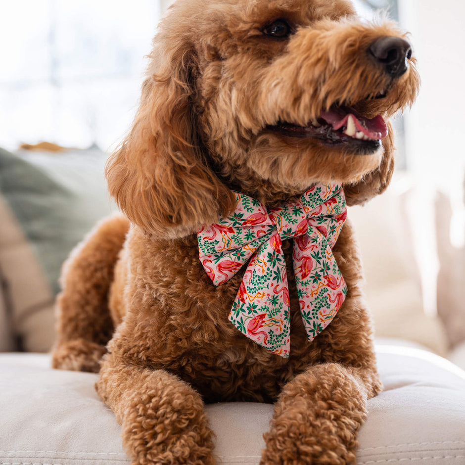 Lady Dog Bows | Elegant Dog Accessories | The Foggy Dog