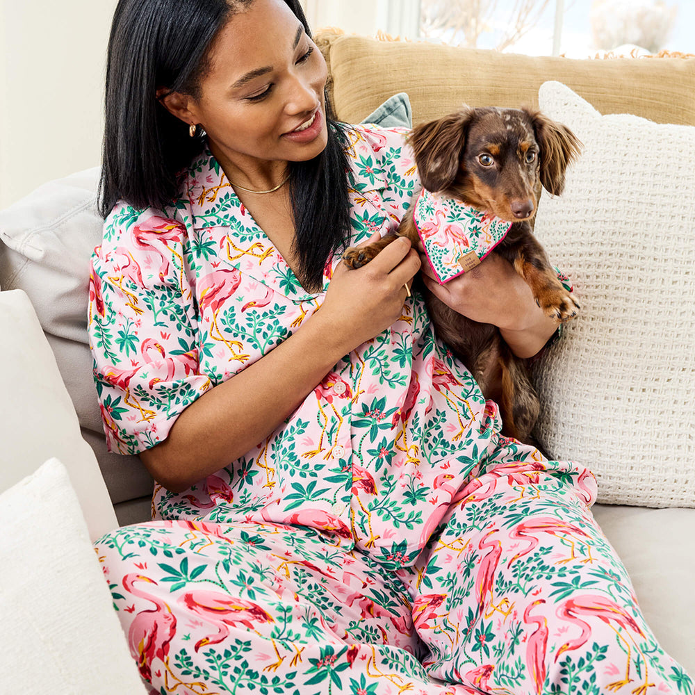 Dog Sets with Savings | The Foggy Dog