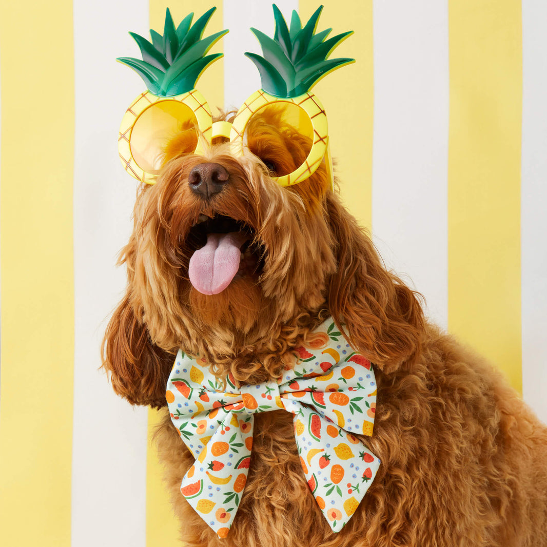 Lady Dog Bows | Elegant Dog Accessories | The Foggy Dog