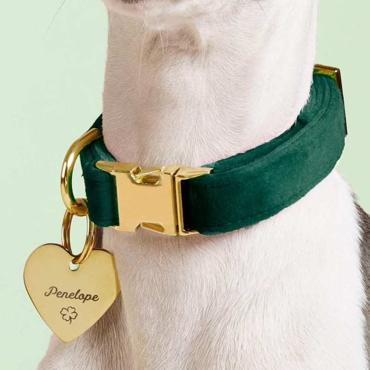 Adjustable Dog Collars | Stylish Pet Accessories | The Foggy Dog