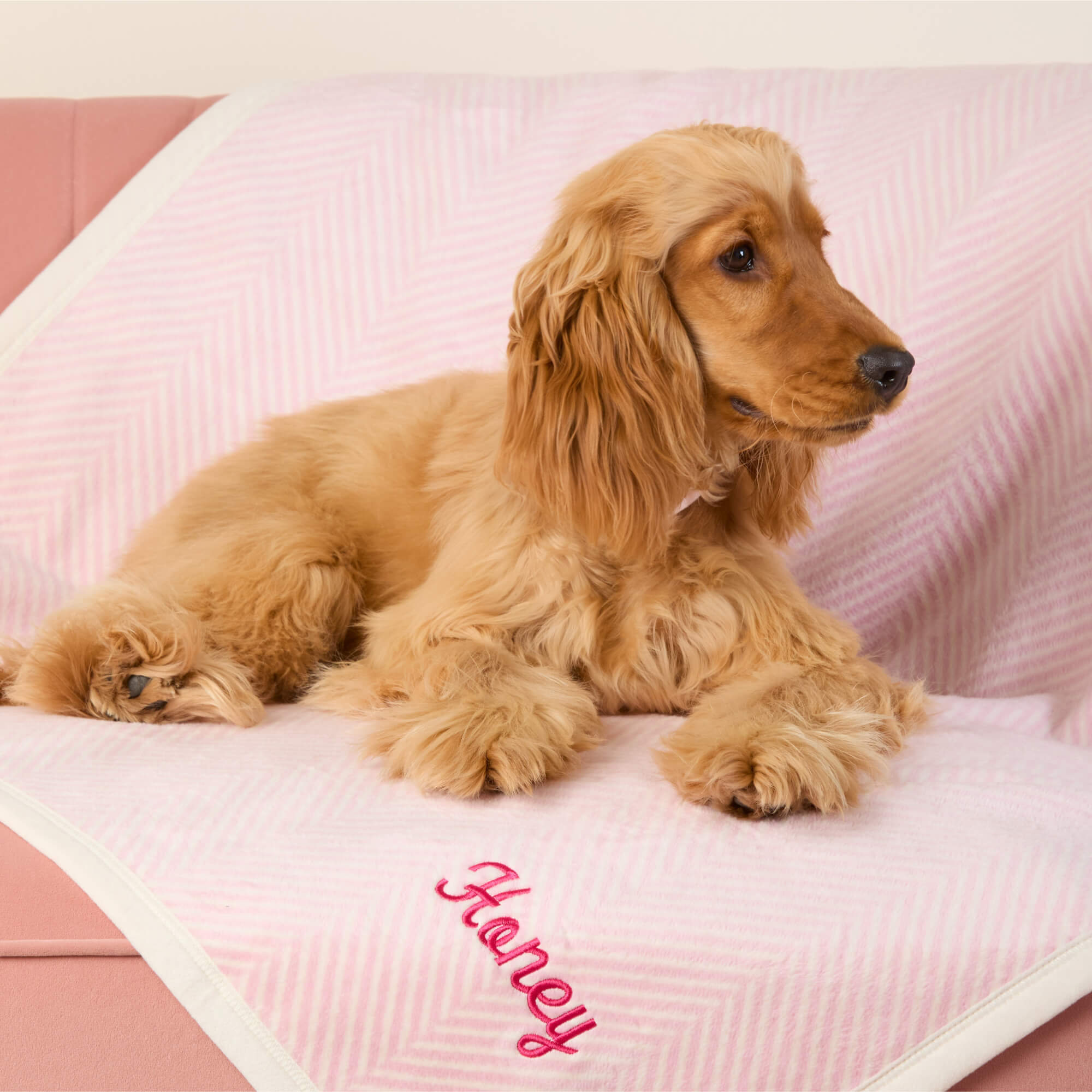ChappyWrap Harborview Herringbone Blush Dog Blanket – The Foggy Dog