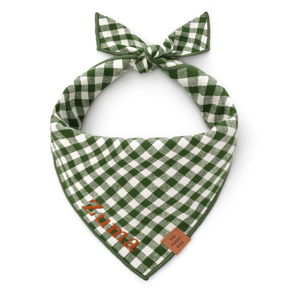 Fall Collection of Dog Accessories | Stylish and Cozy Pet Essentials ...