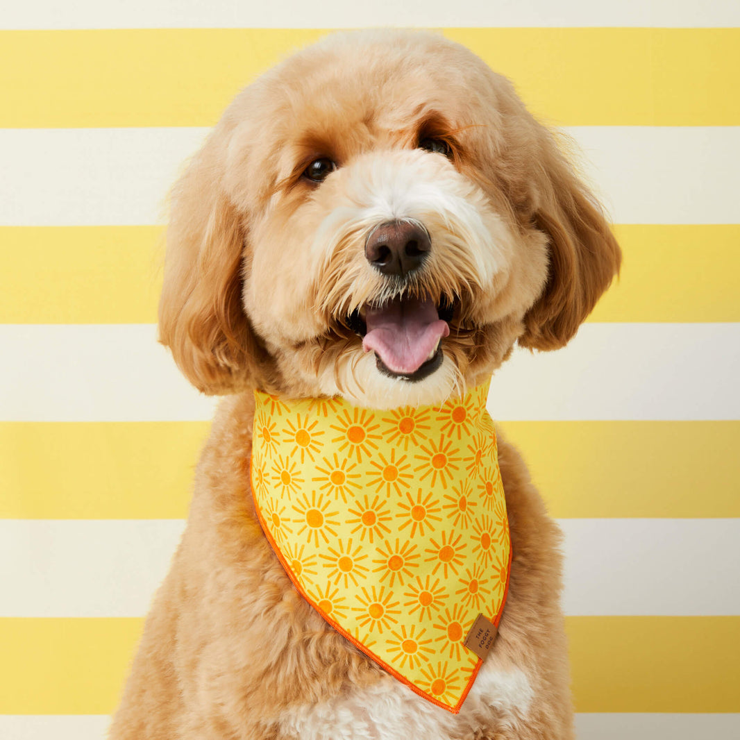 Classic Tie-On Dog Bandanas | Stylish Accessories for Every Pup | The ...