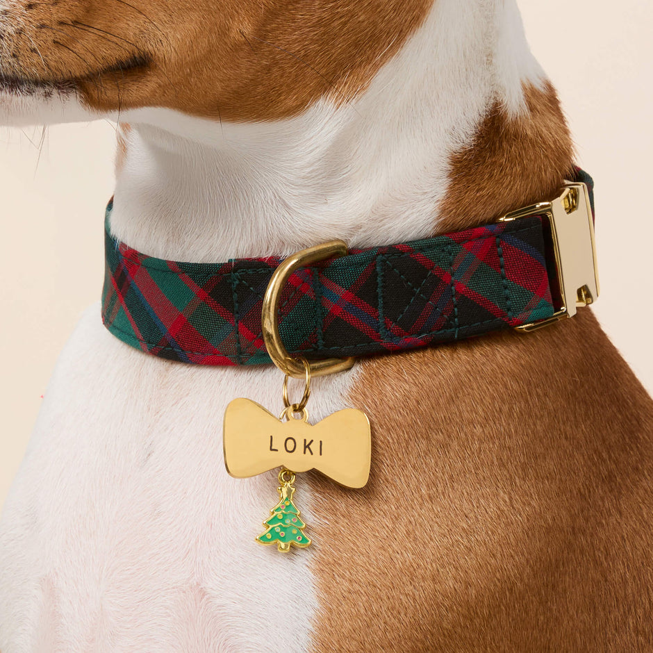 Pet ID Tags | Stylish and Safe Identification for Pets | The Foggy Dog