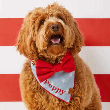 Classic Tie-On Dog Bandanas | Stylish Accessories for Every Pup | The ...