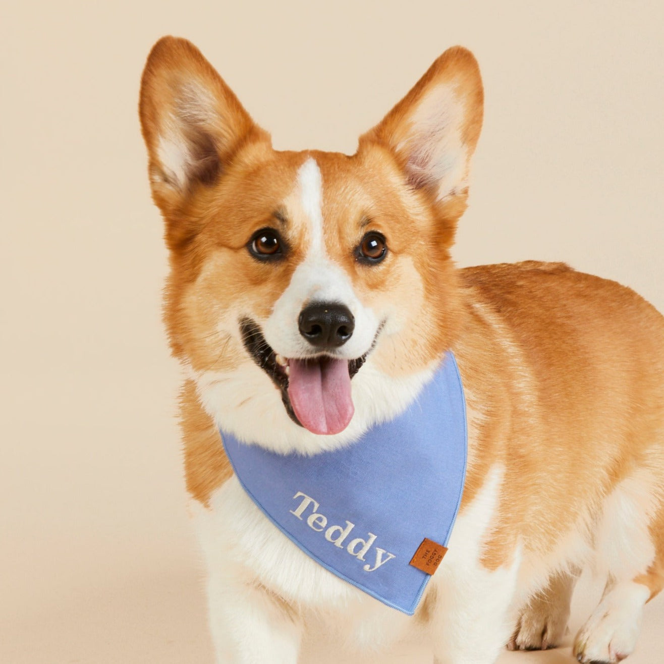 On Sale – The Foggy Dog