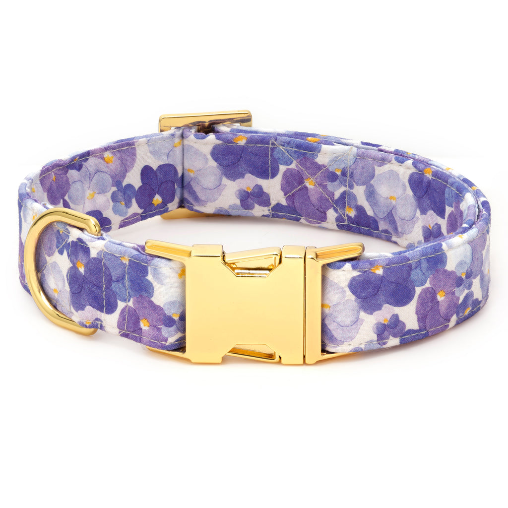 Pressed Pansies Dog Collar – The Foggy Dog