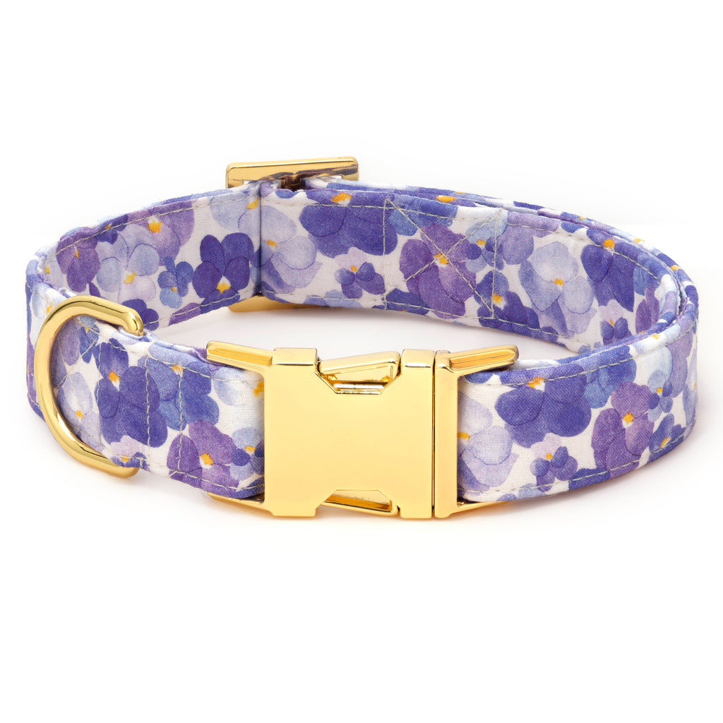 Pressed Pansies Collar Walk Set – The Foggy Dog