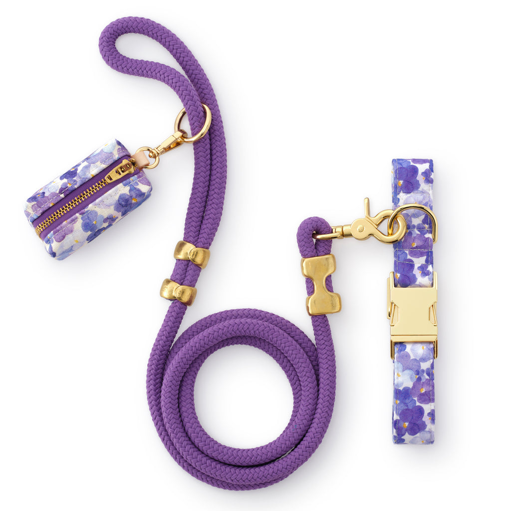 Pressed Pansies Collar Walk Set – The Foggy Dog