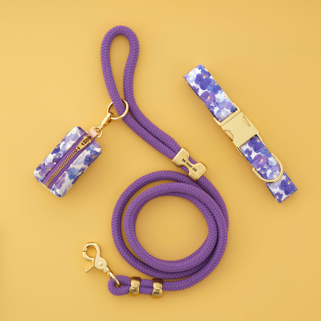 Pressed Pansies Collar Walk Set – The Foggy Dog