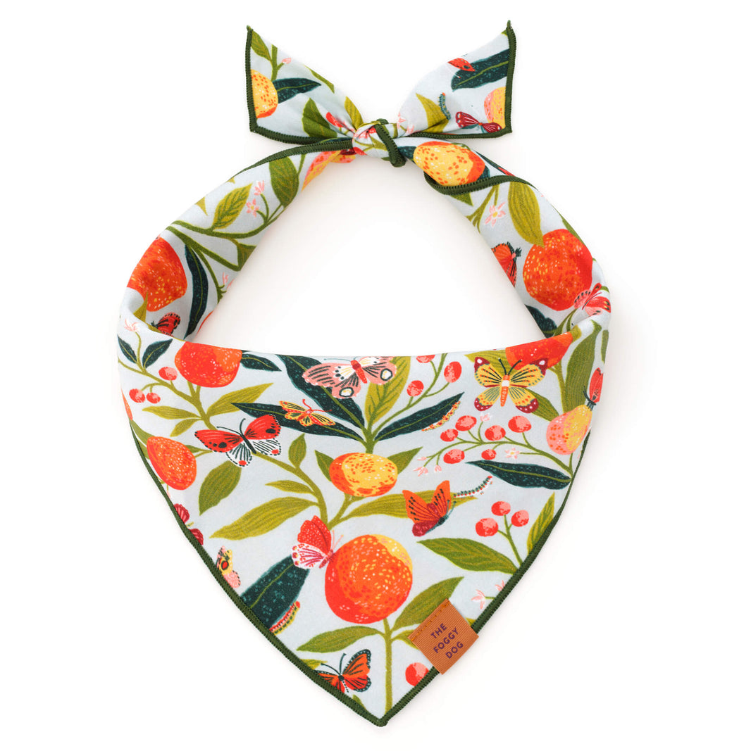 Classic Tie-On Dog Bandanas | Stylish Accessories for Every Pup | The ...
