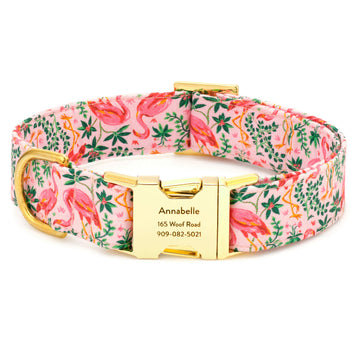 Adjustable Dog Collars | Stylish Pet Accessories | The Foggy Dog