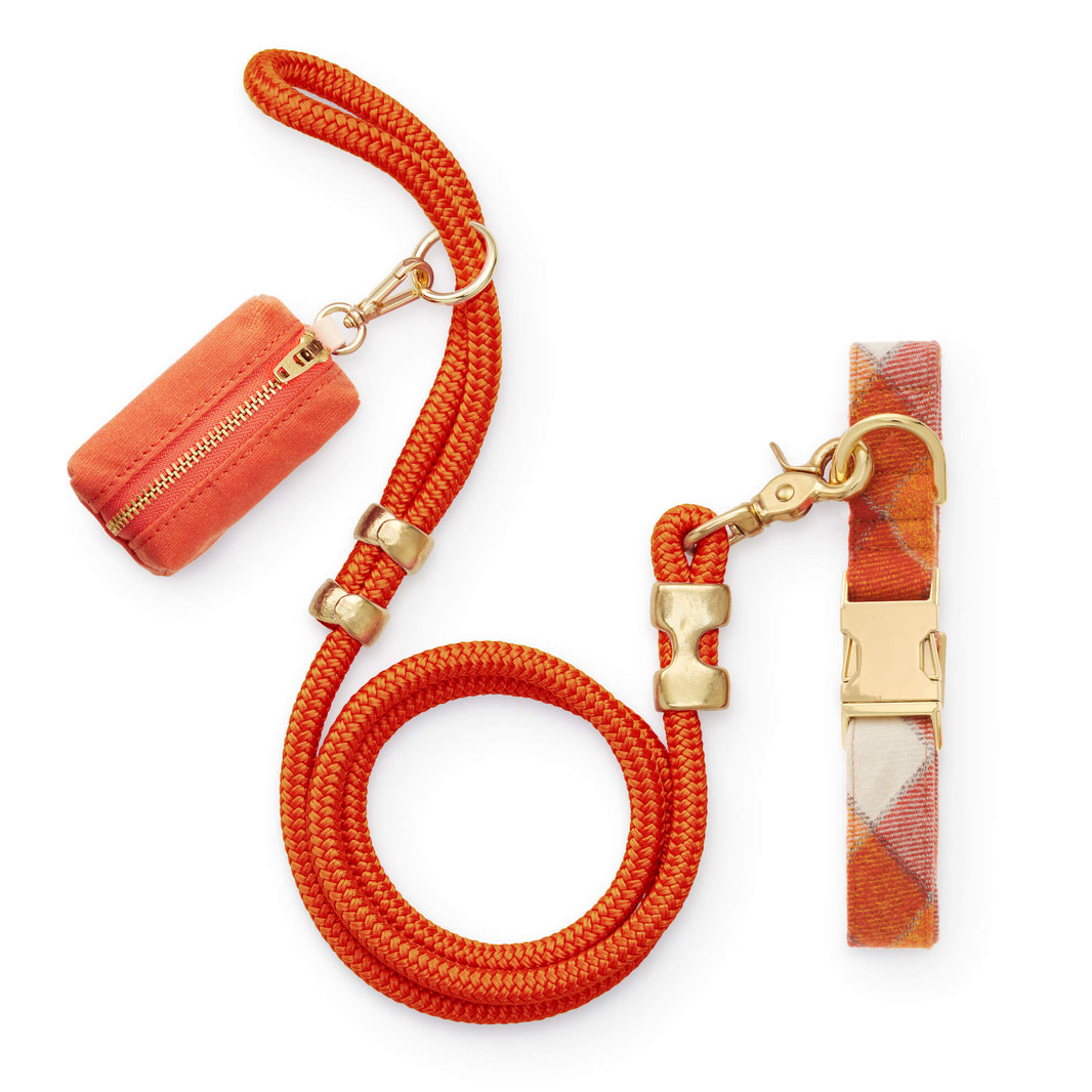 Dog Walk Sets – The Foggy Dog