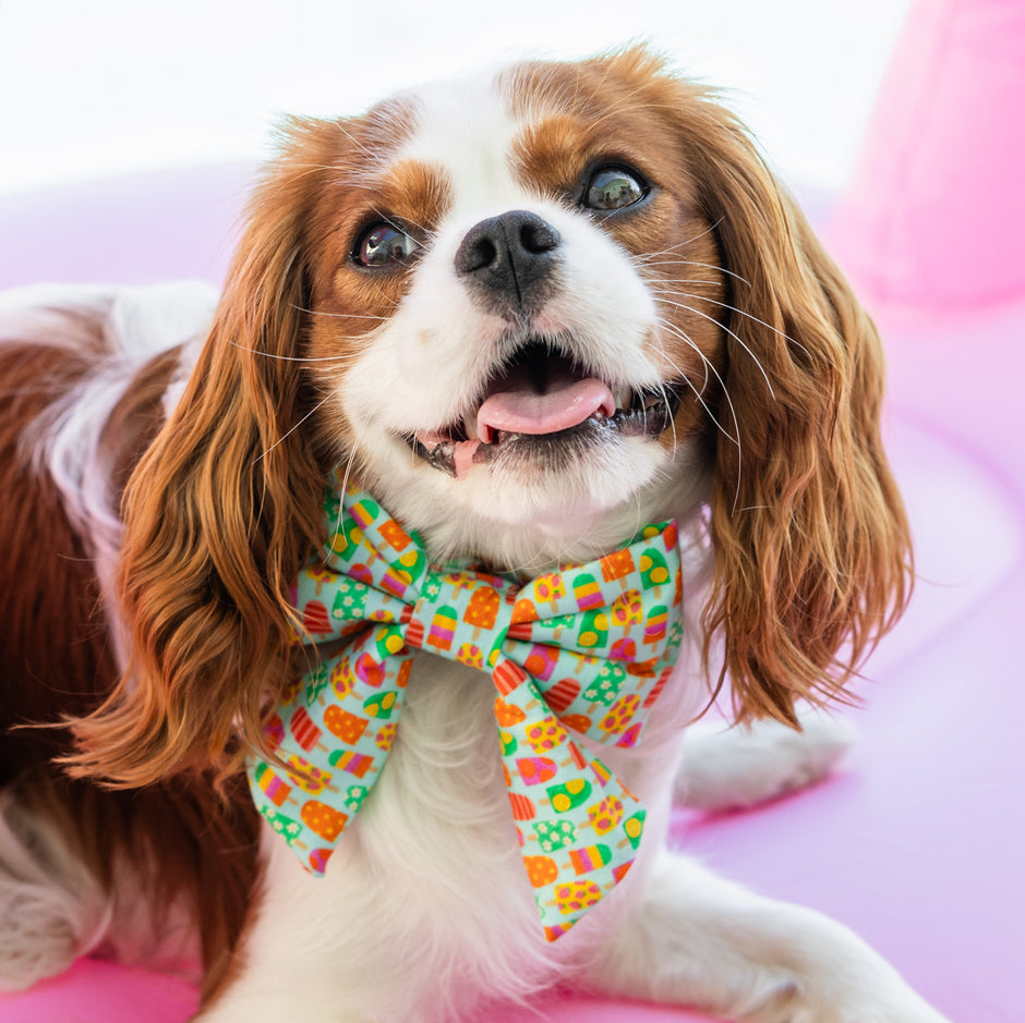 Lady Dog Bows | Elegant Dog Accessories | The Foggy Dog