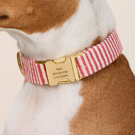 Red Stripe Dog Collar – The Foggy Dog