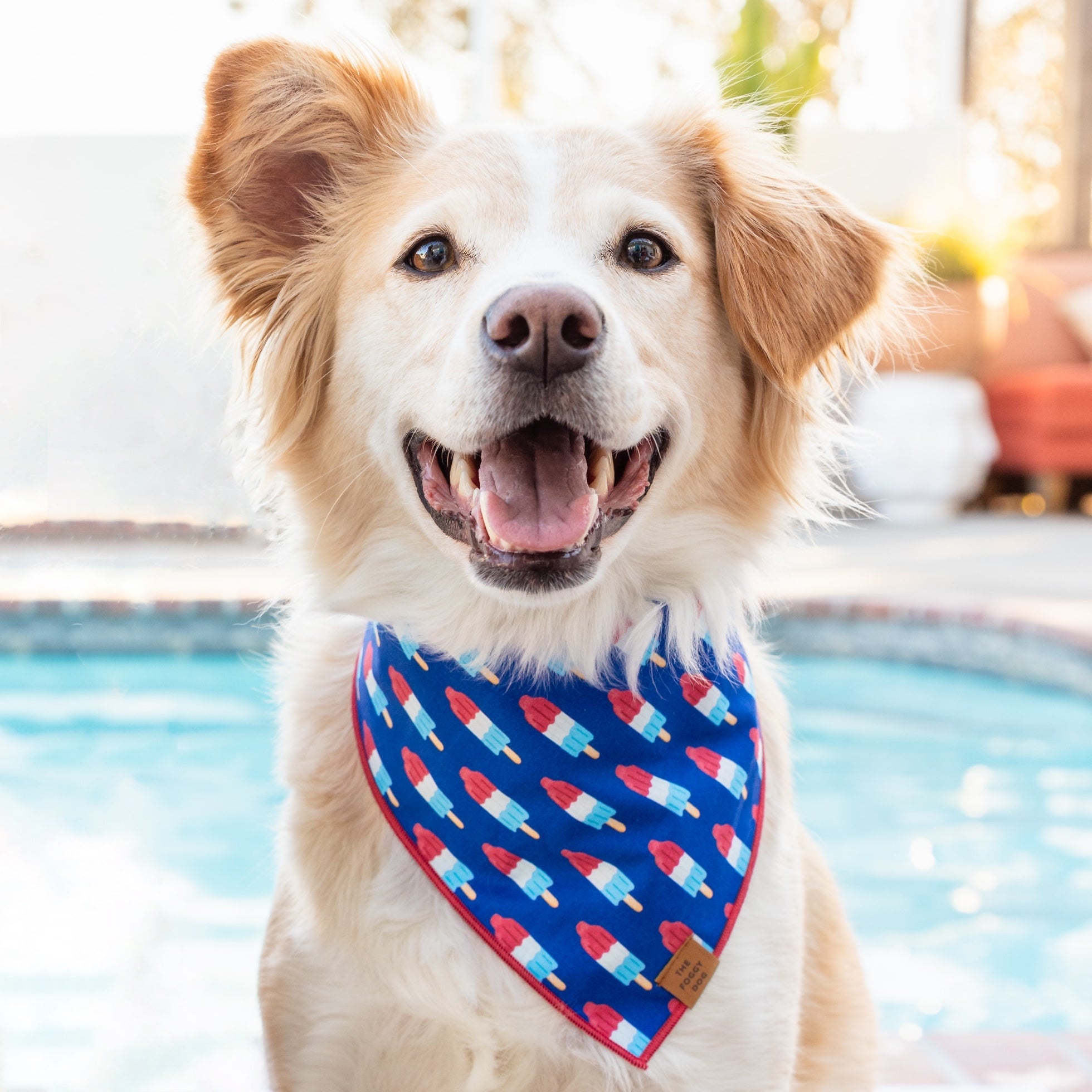 Classic Tie-On Dog Bandanas | Stylish Accessories for Every Pup | The ...