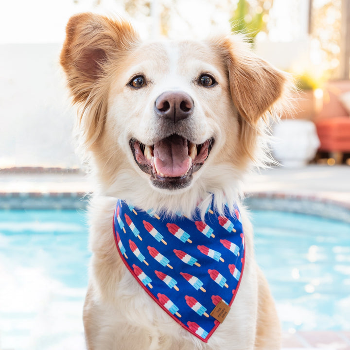 Classic Tie-On Dog Bandanas | Stylish Accessories for Every Pup | The ...