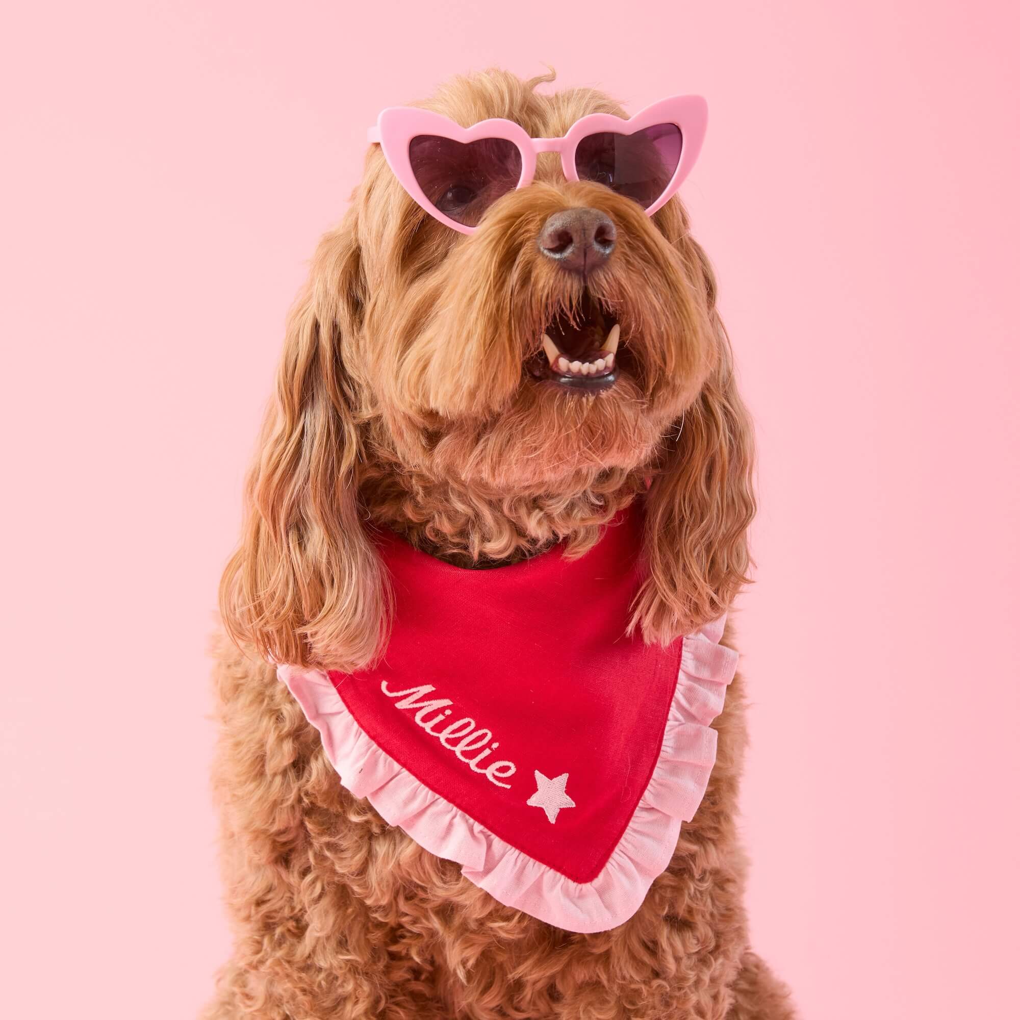 Valentine Ruffle Dog Bandana – The Foggy Dog